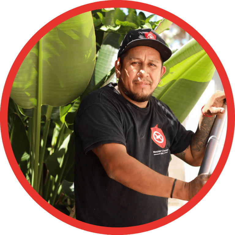 Rodent Control Services in CA | Rodent Control Inc.